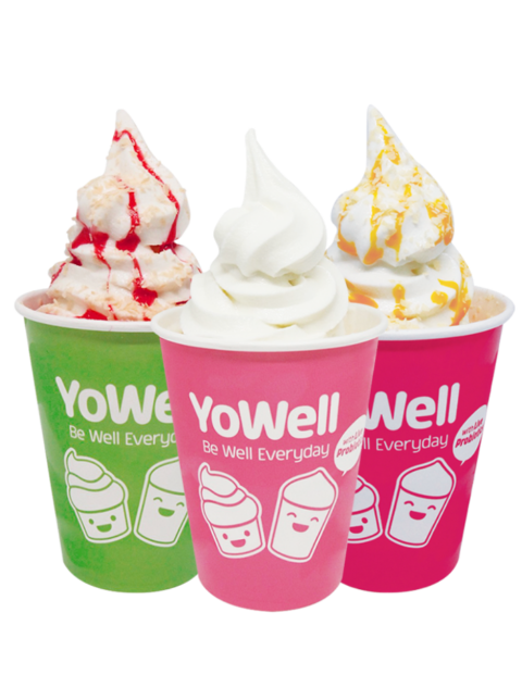 Plain Yogurt - Yowell