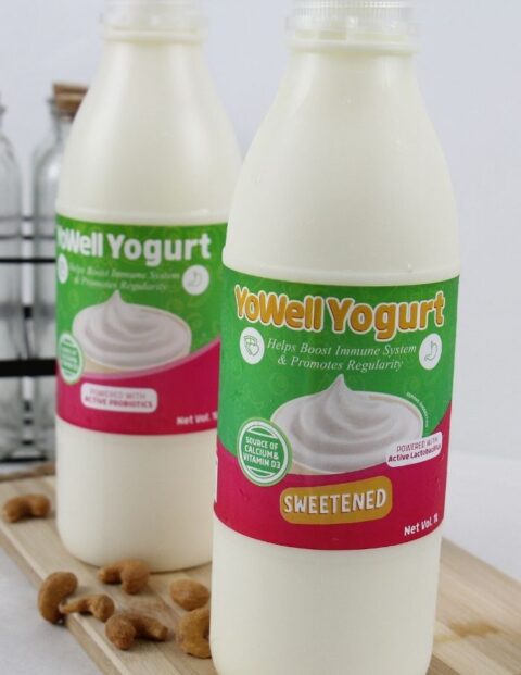 Yogurt Benefits: Why yogurt is healthy for you - Yowell