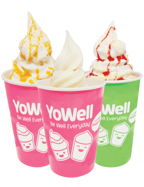 Plain Yogurt - Yowell
